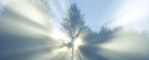 Core: Trinity…Love…Theosis – Yield to God